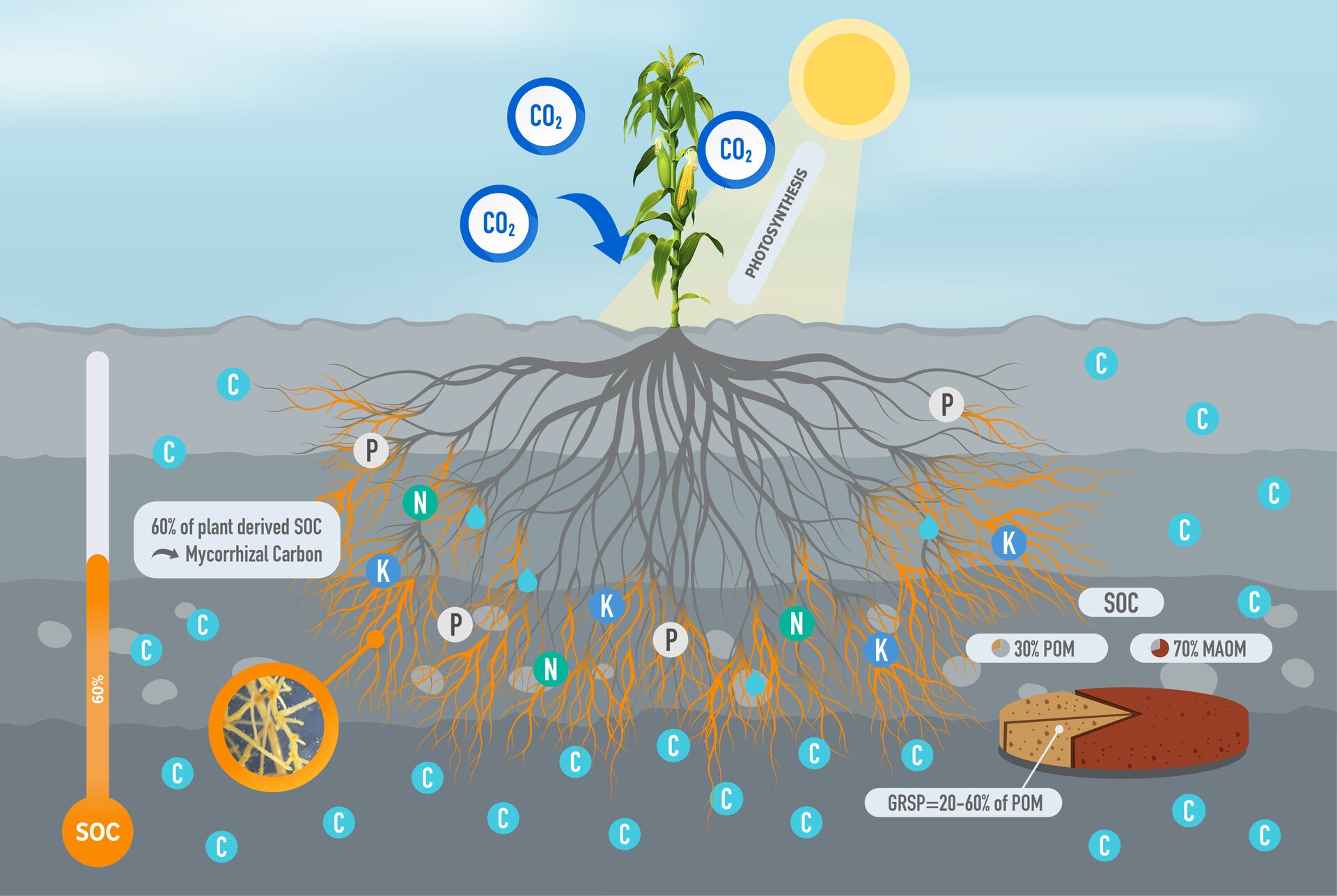 Groundwork BioAg Supercharges Agricultural Carbon Sequestration ...