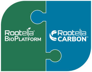 Groundwork BioAg: A Decade of Impact and the Foundation for a Carbon ...